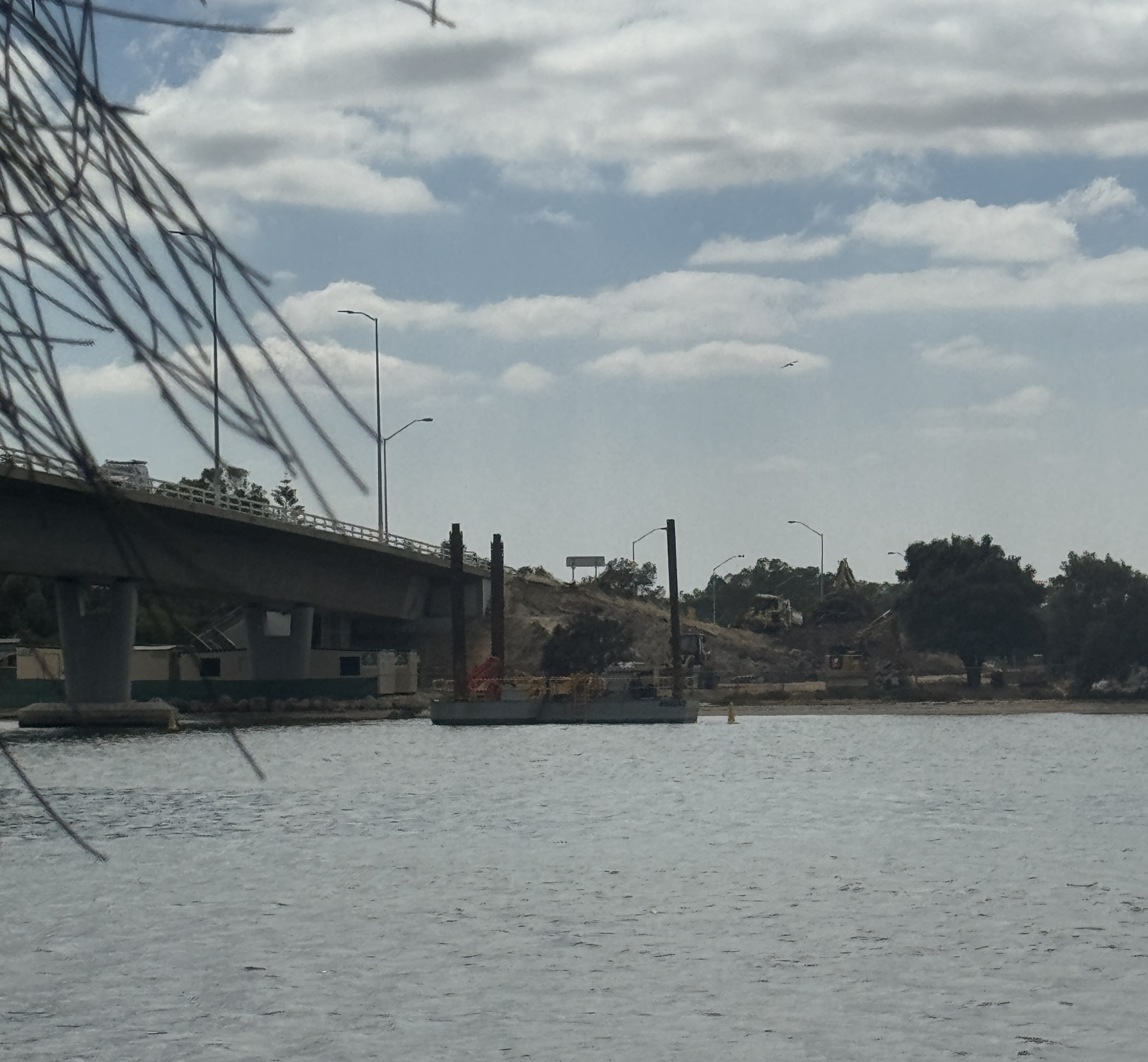 Soil testing in estuary